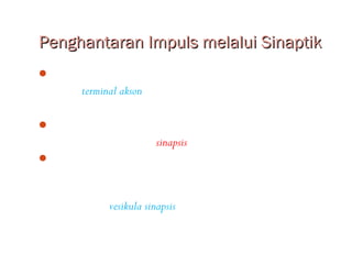 Penghantaran impuls | PPT