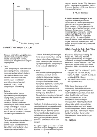Penghitungan biomassa potensi karbon | PDF