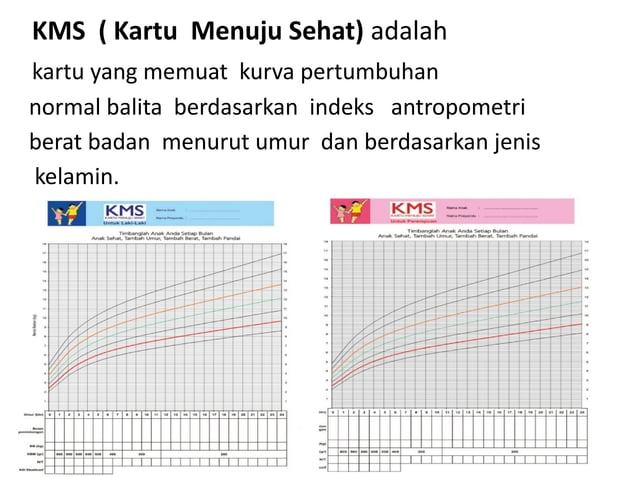 contoh dalam PENGISIAN KMS UNTUK KADER.pptx