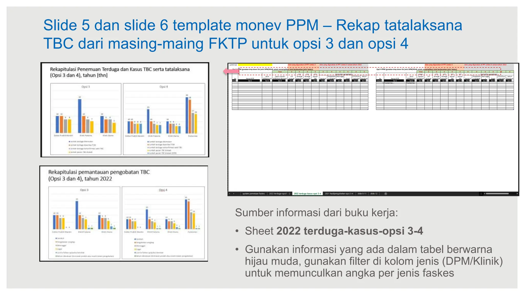 Pengisian template PPT dan Buku Kerja oleh Puskesmas tb.pptx