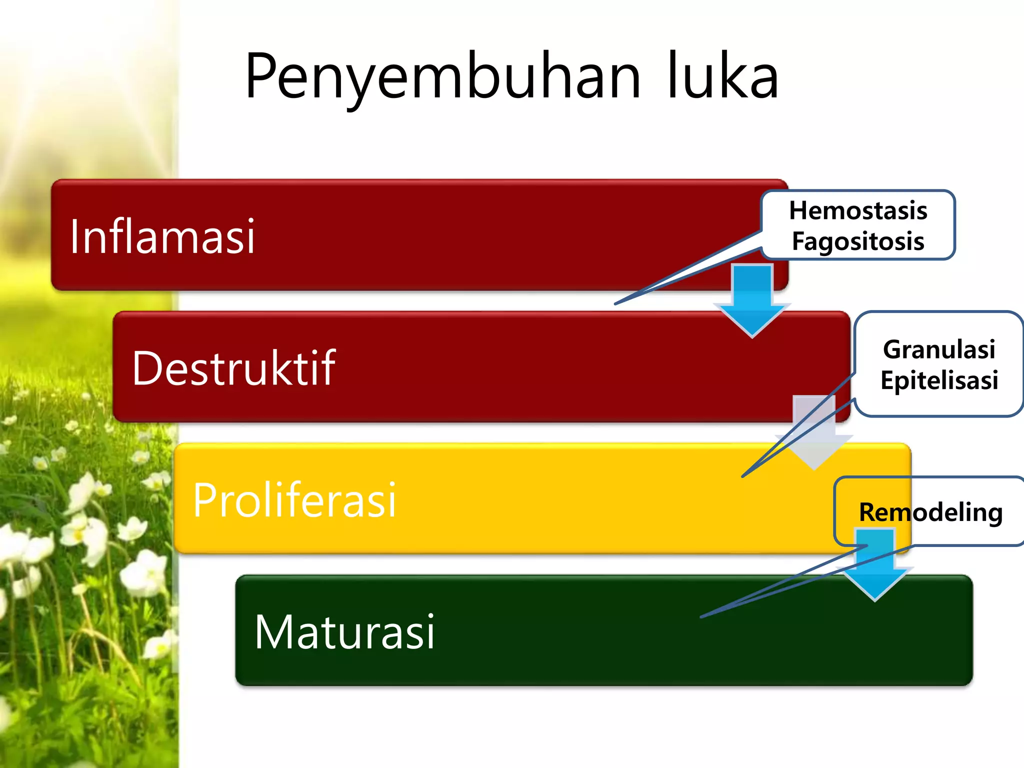 Pengkajian luka | PPTX