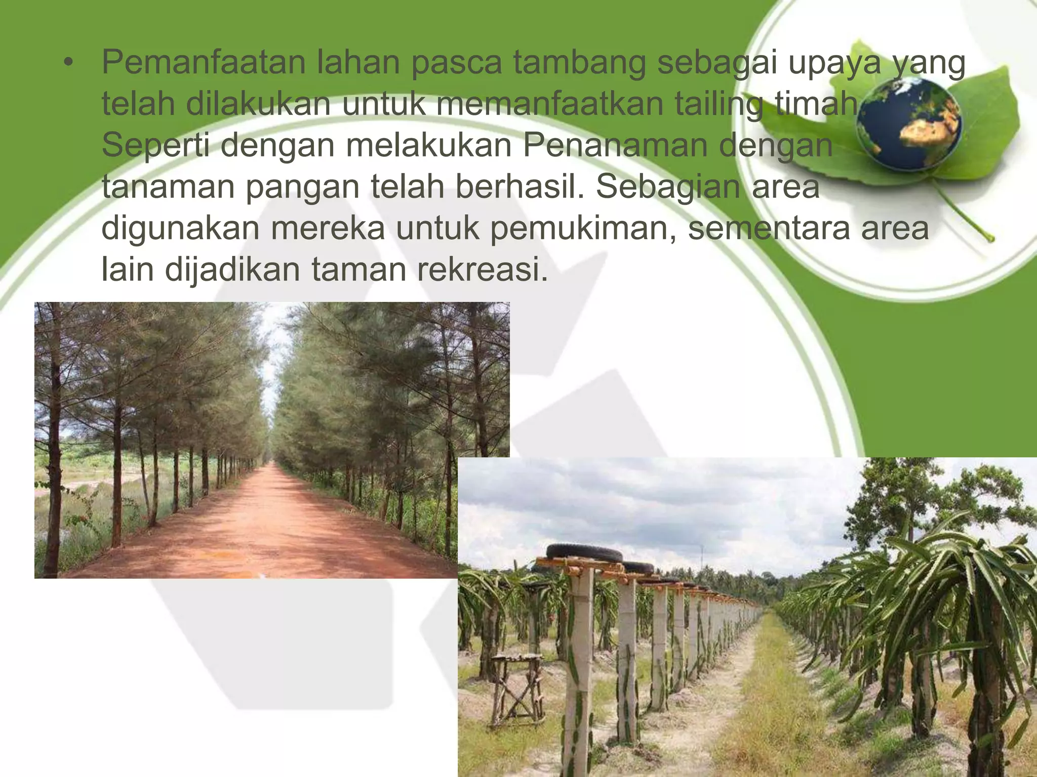Kerusakan Lingkungan DI Bangka-Pengling | PPTX
