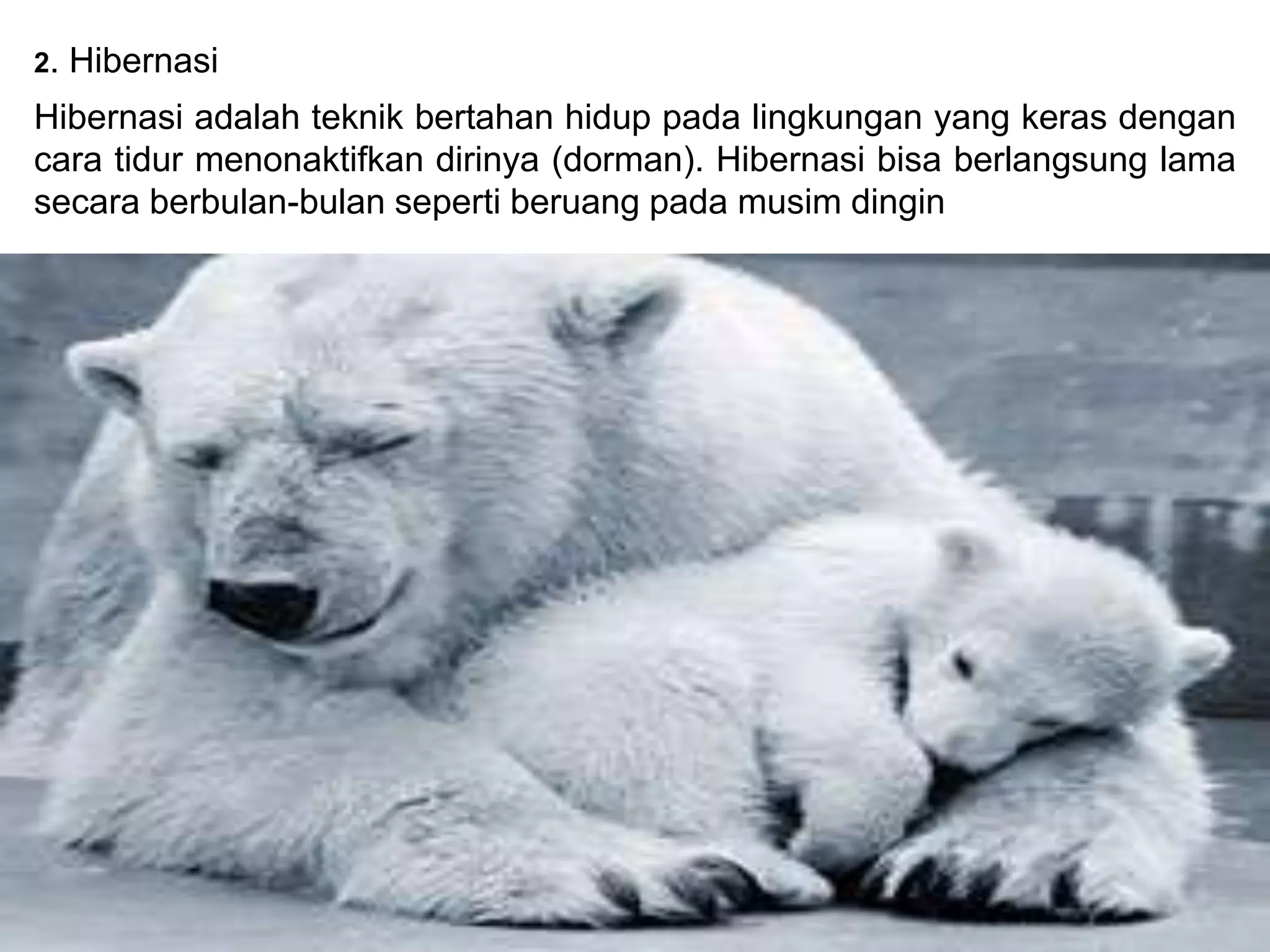 Materi Pengetahuan Lingkungan (Bagian II) | PPTX