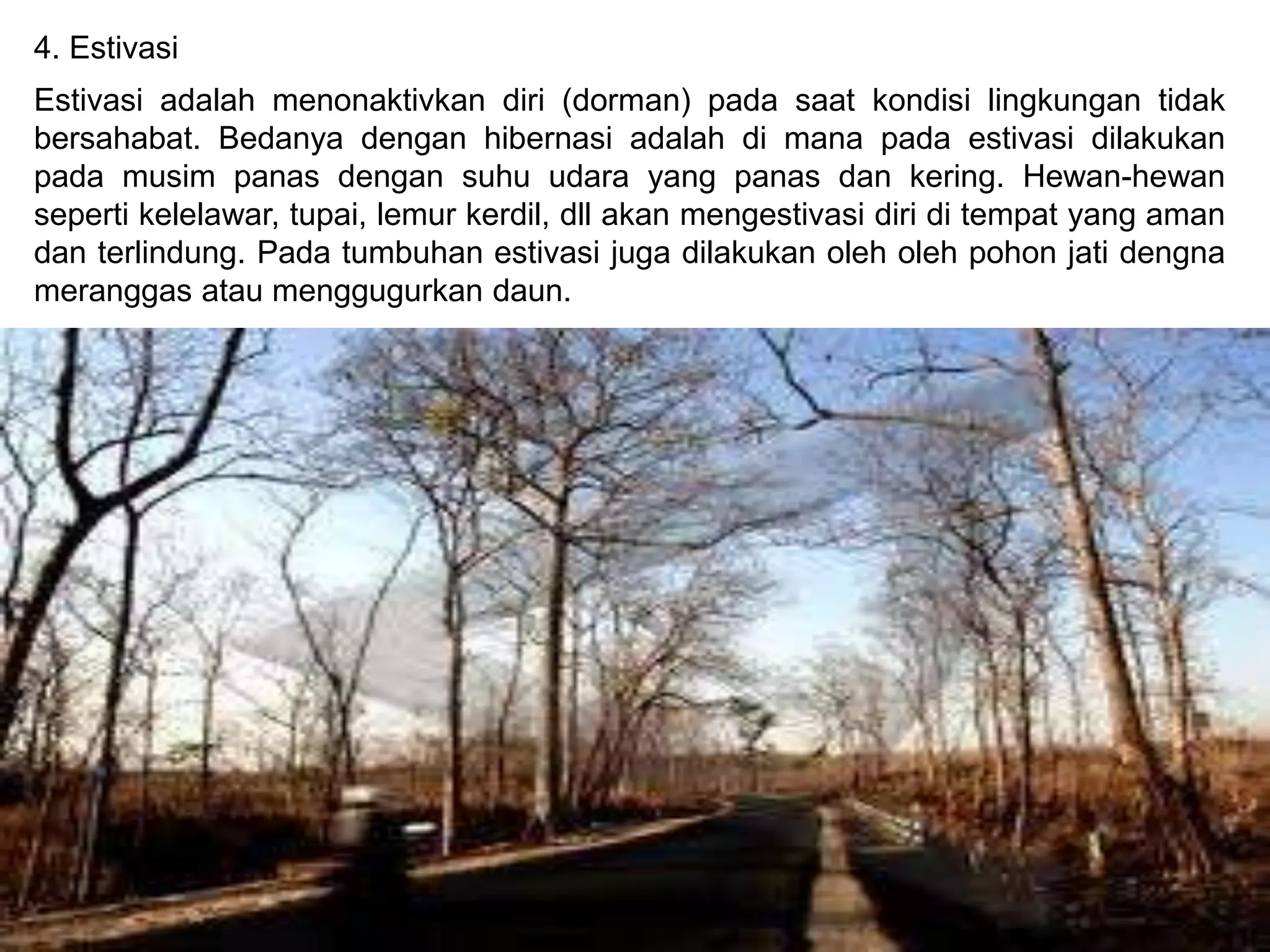 Materi Pengetahuan Lingkungan (Bagian II) | PPTX