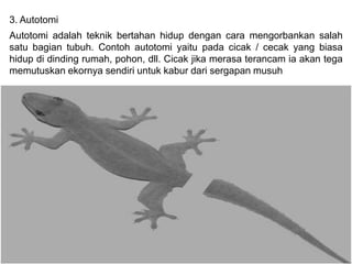 Materi Pengetahuan Lingkungan (Bagian II) | PPT