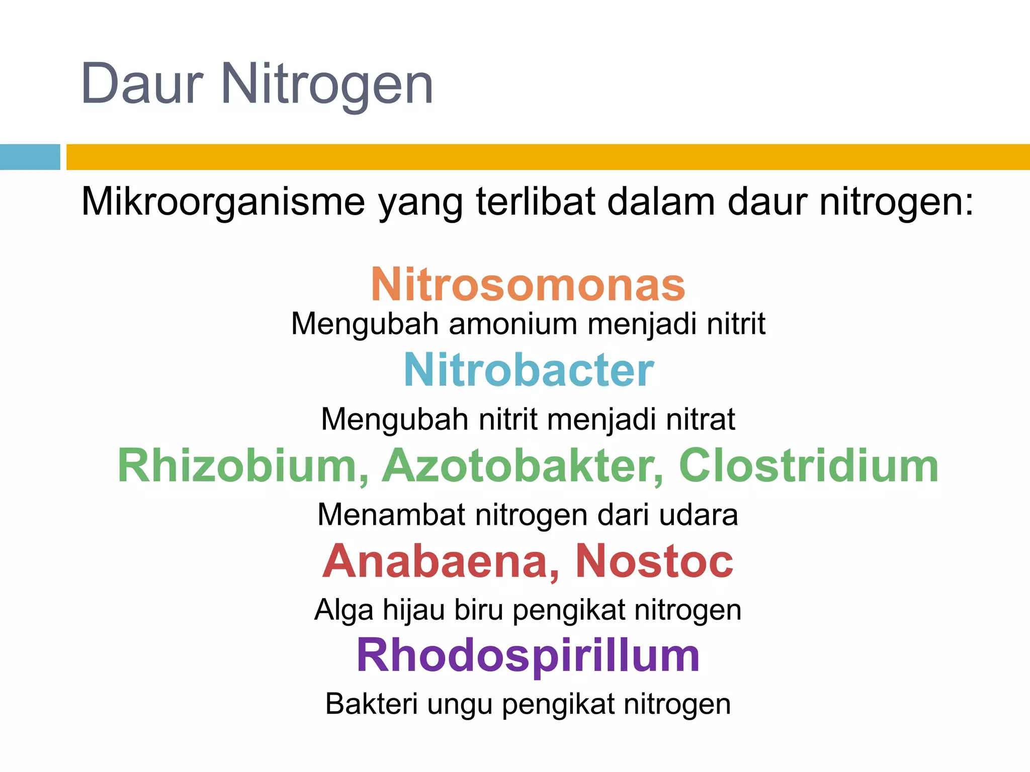 Daur Nitrogen & Fosfor | PPTX