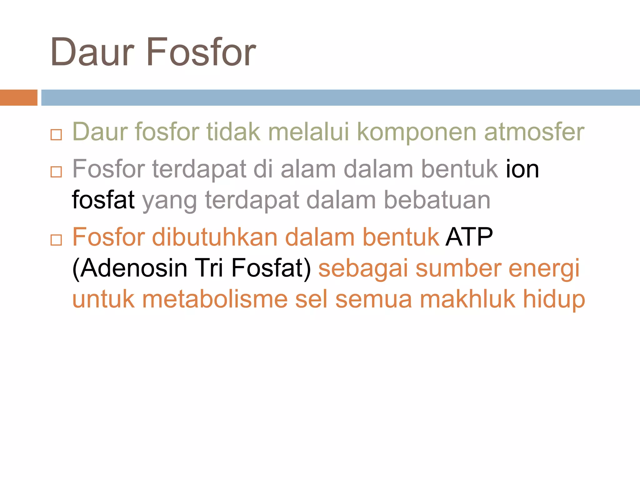 Daur Nitrogen & Fosfor | PPTX