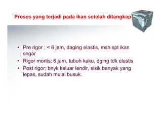 Pengolahan ikan | PDF