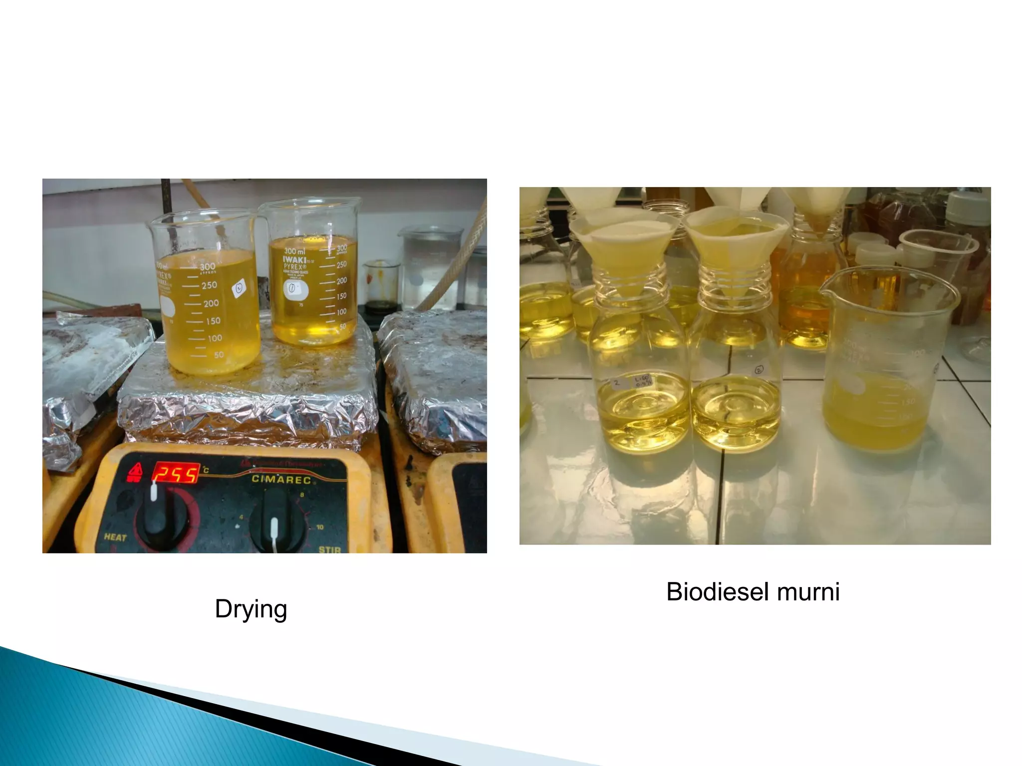 Pengolahan biodiesel (1) | PDF