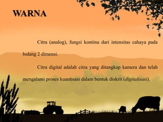 WARNA | PPT