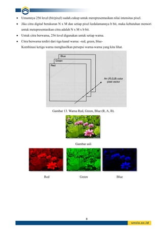 Pengolahan Citra Diskusi Pertemuan Ke-2.pdf