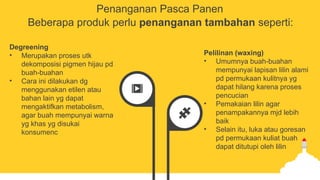 Pengolahan Hasil Produk Hortikultura (Buah-buahan).pptx