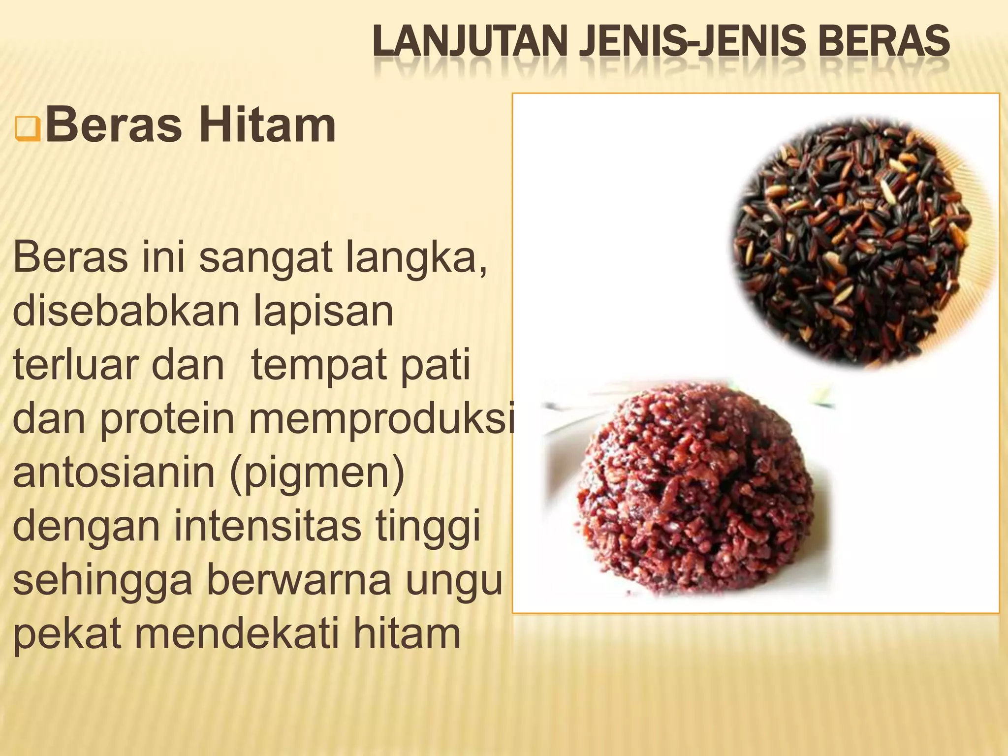 Pengolahan makanan nusantara nasi | PPTX