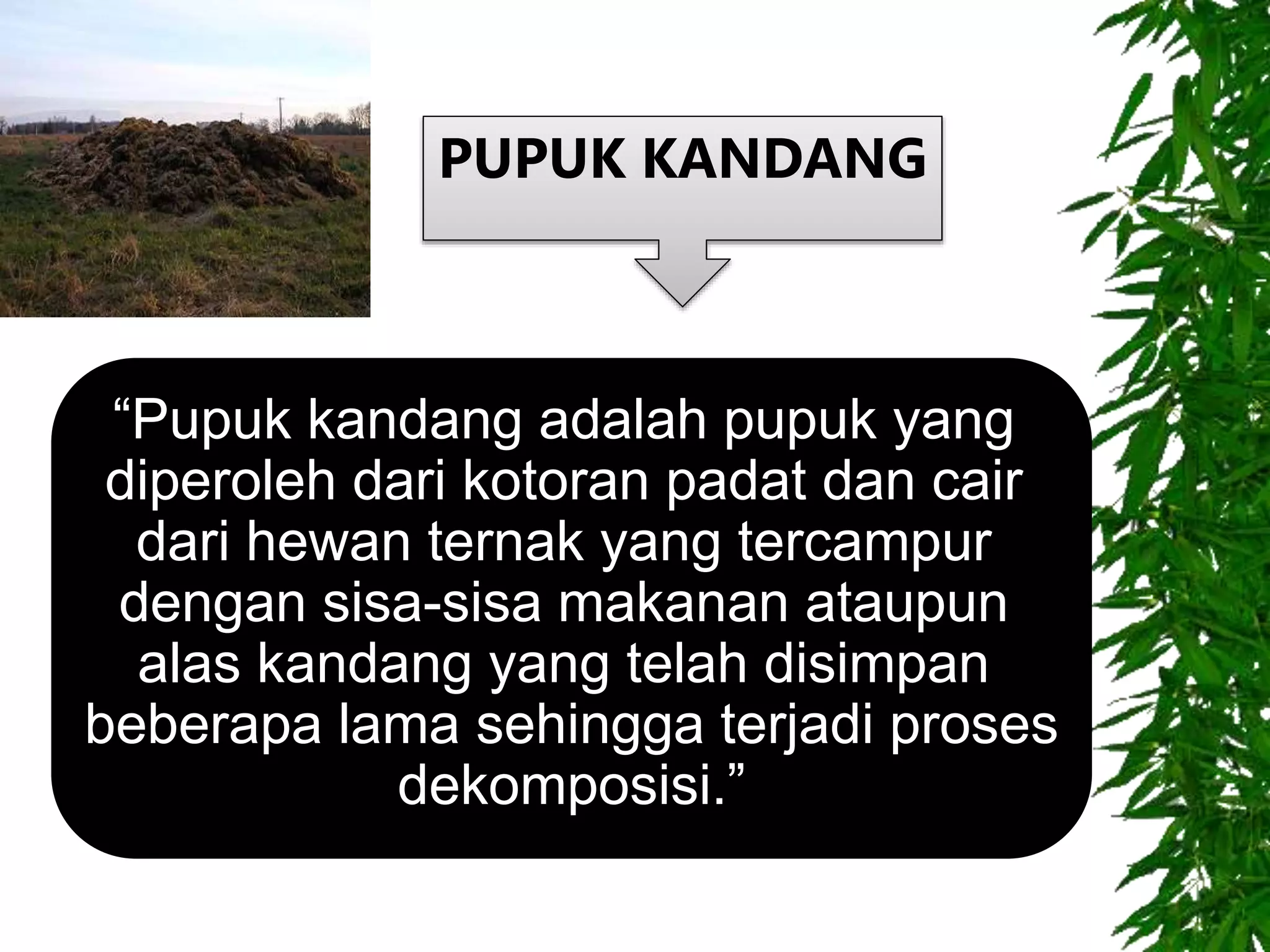 pengolahan Pupuk organik padat.ppt