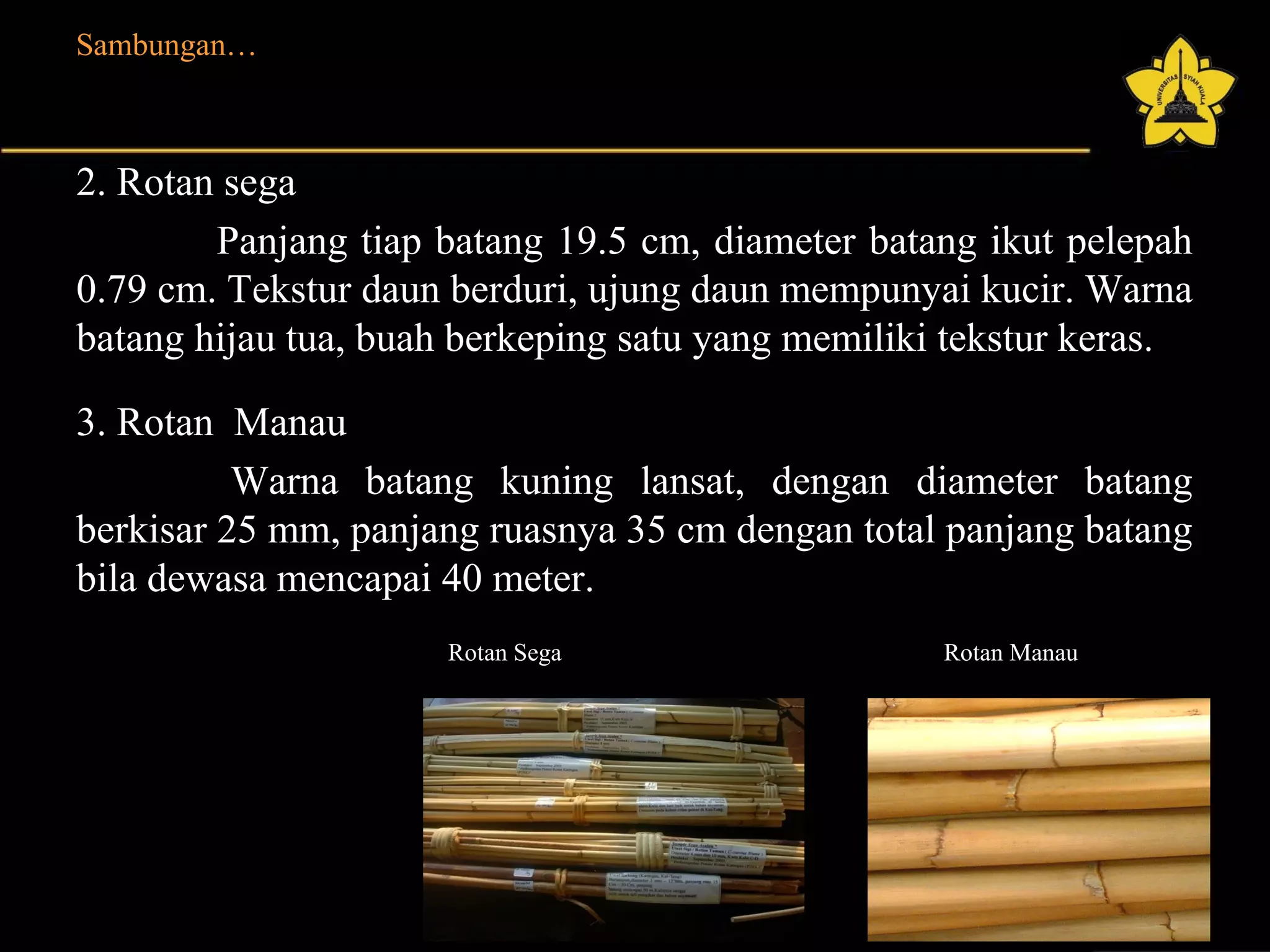 Pengolahan rotan (rattan processing) | PPT