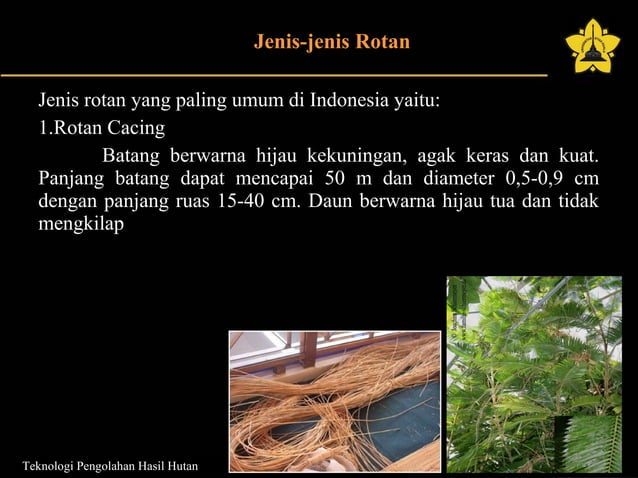 Pengolahan rotan (rattan processing) | PPT