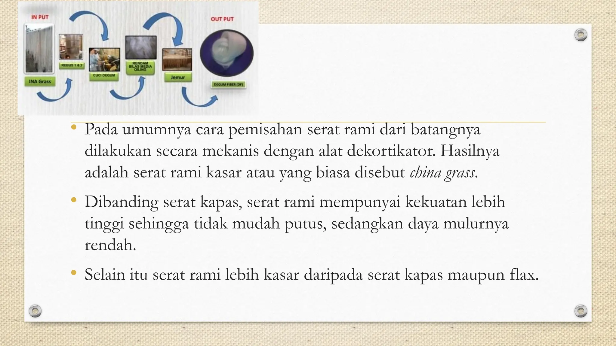 Pengolahan Serat dari tanaman Rami...pdf