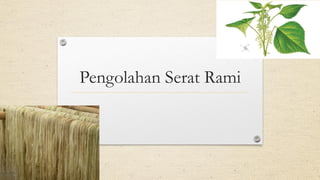 Pengolahan Serat dari tanaman Rami...pdf