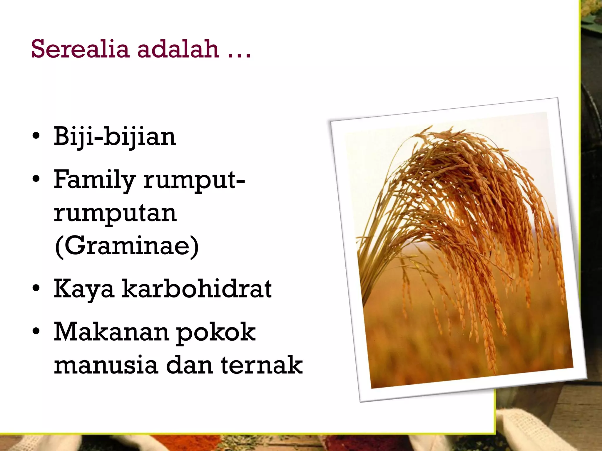 Pengolahan setengah jadi serealia | PDF