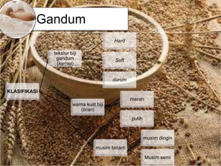 Pengolahan tepung gandum | PPTX