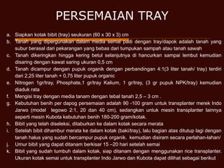 Pengopersian dan pemeliharaan transplanter (1).pptx