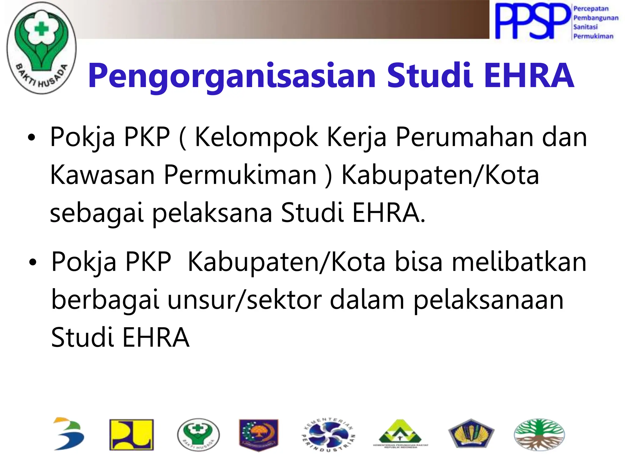 Pengorganisasian & Langkah Studi EHRA.pptx