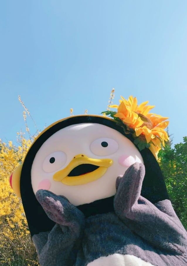 Pengsoo Brandbook | PDF