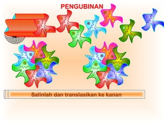 Pengubinan | PPT