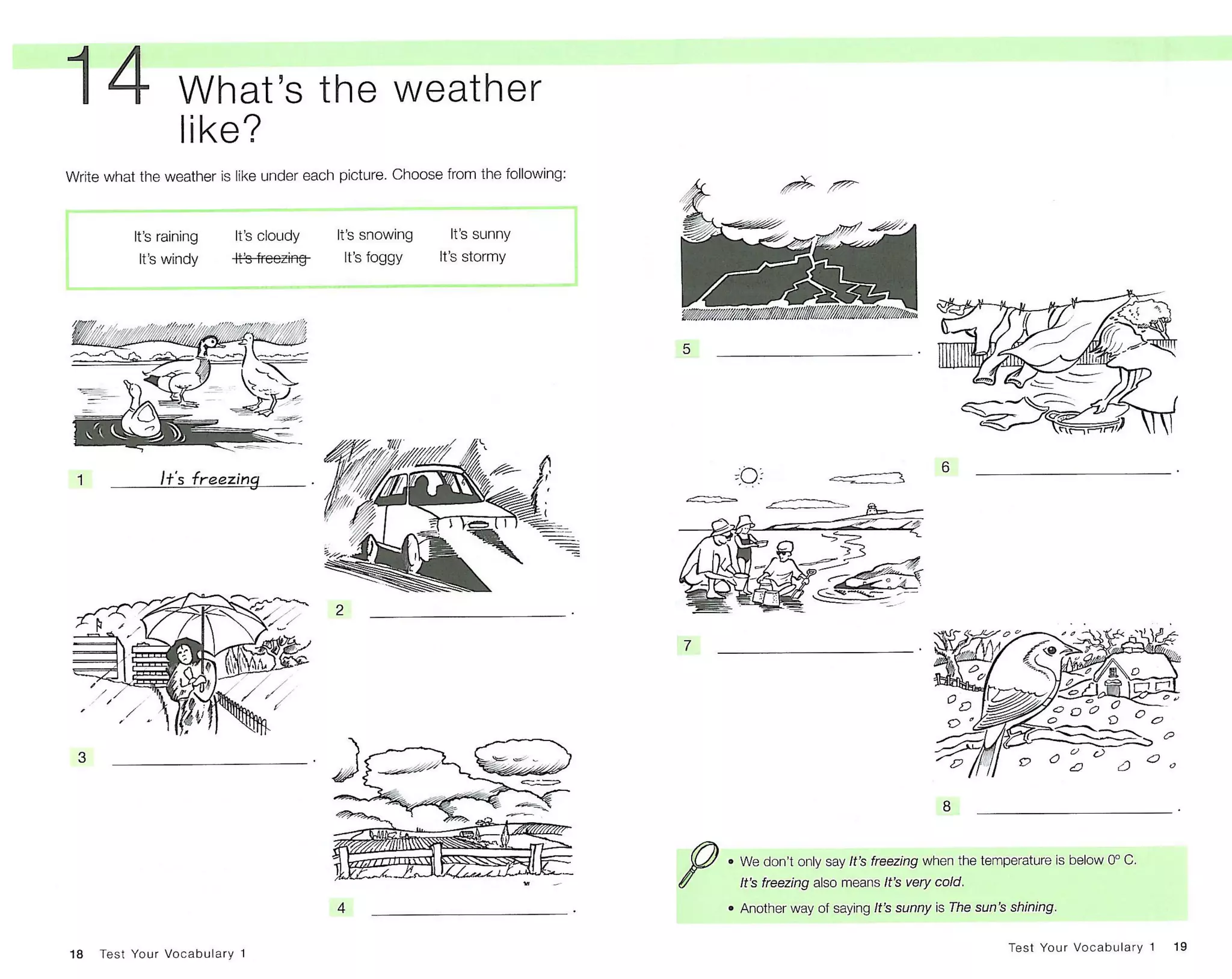 Penguin test your vocabulary 1 elementary | PDF