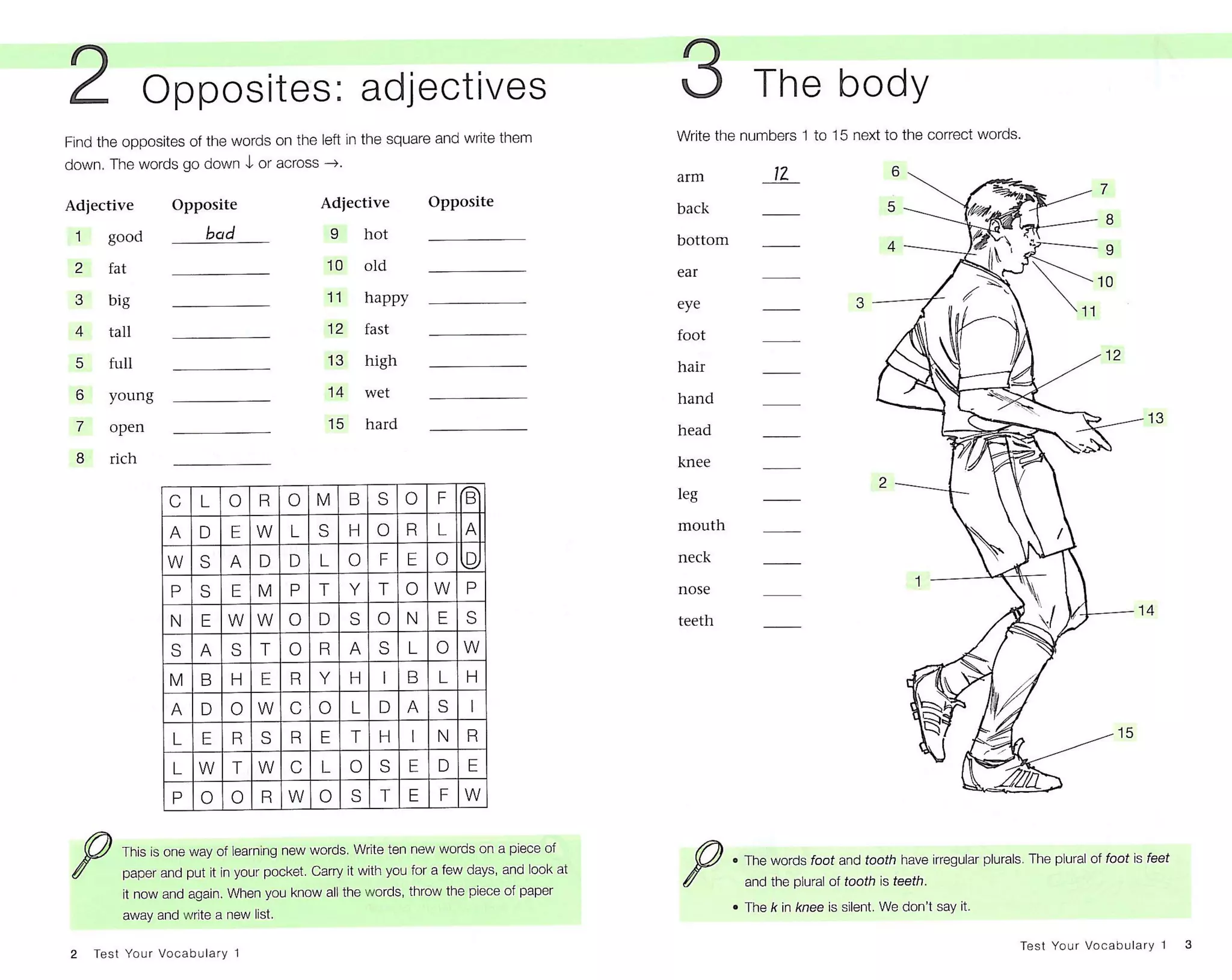Penguin test your vocabulary 1 elementary | PDF