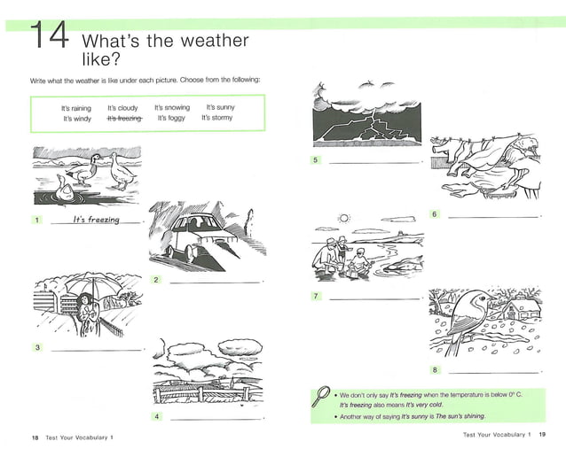 Penguin test your vocabulary 1 elementary | PDF