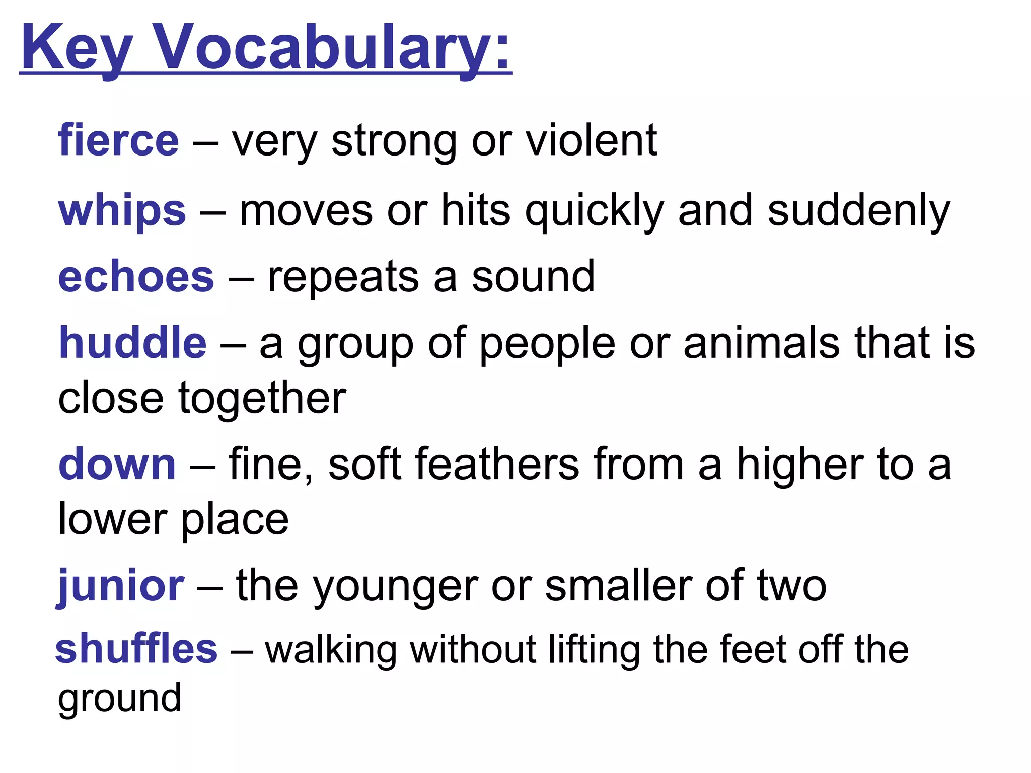 Penguin Chick Focus Wall | PPT