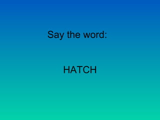 Penguin chick vocab | PPT