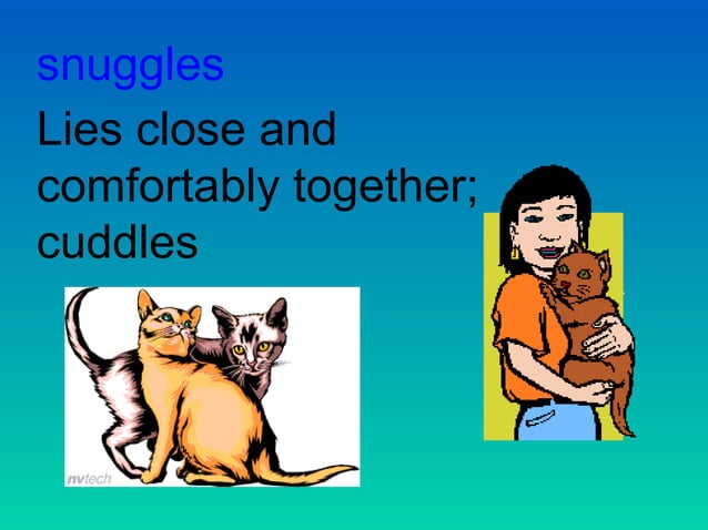 Penguin chick vocab | PPT