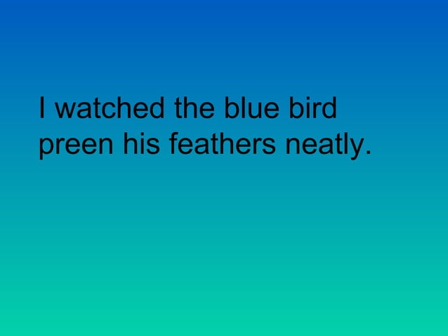 Penguin chick vocab | PPT