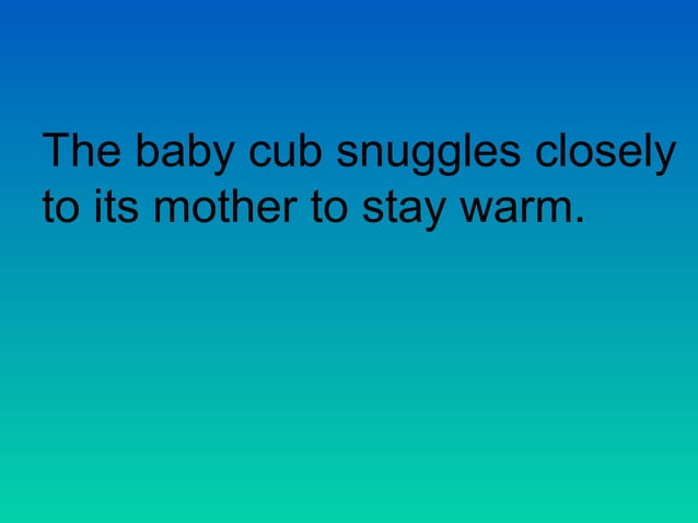 Penguin chick vocab | PPT