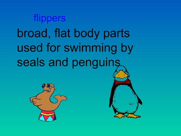 Penguin chick vocab | PPT