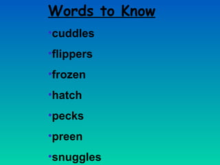 Penguin chick vocab | PPT