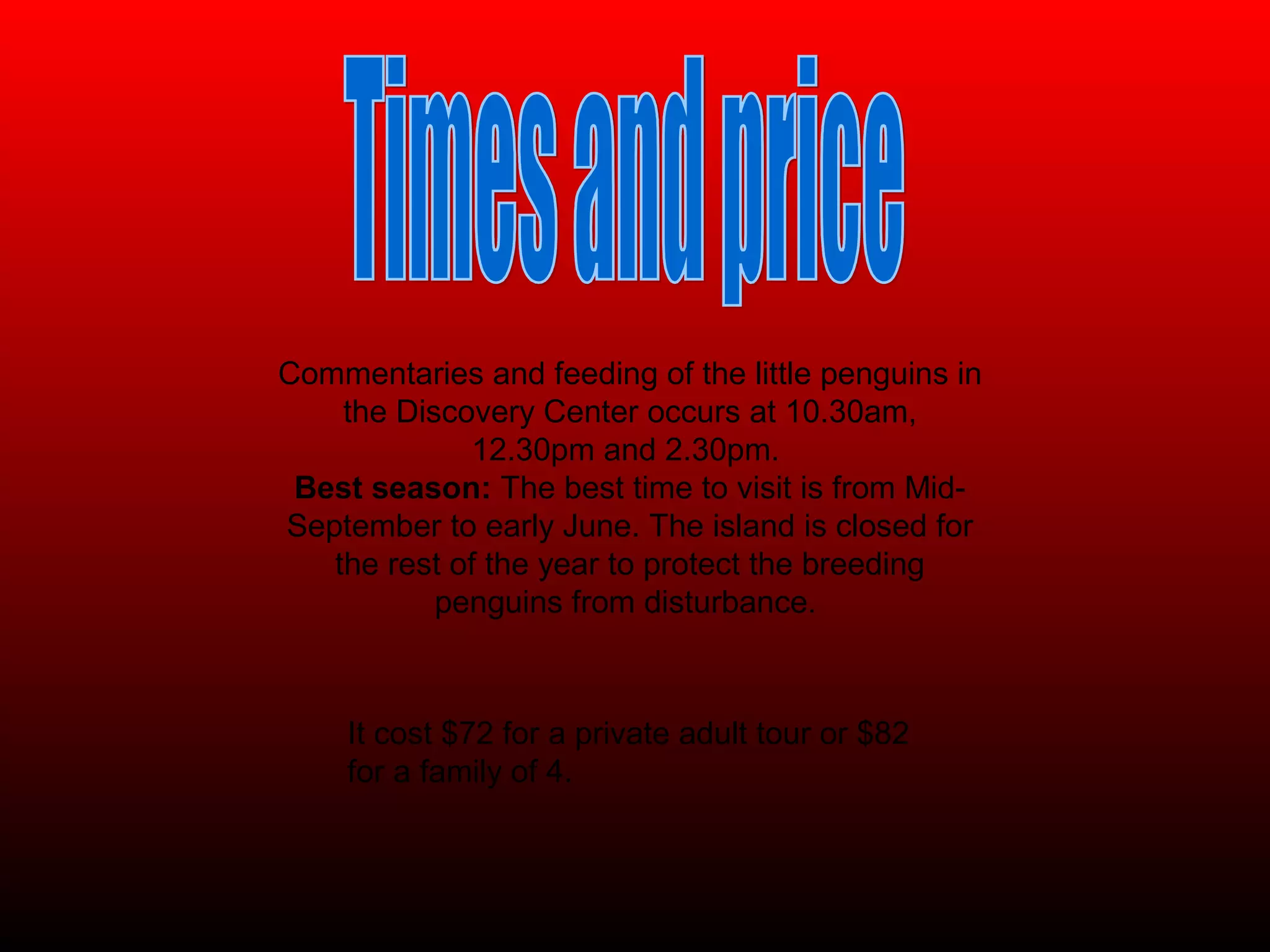 Penguin island 15 | PPT