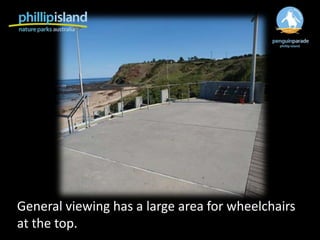 Penguin Parade disabled facilities | PPTX