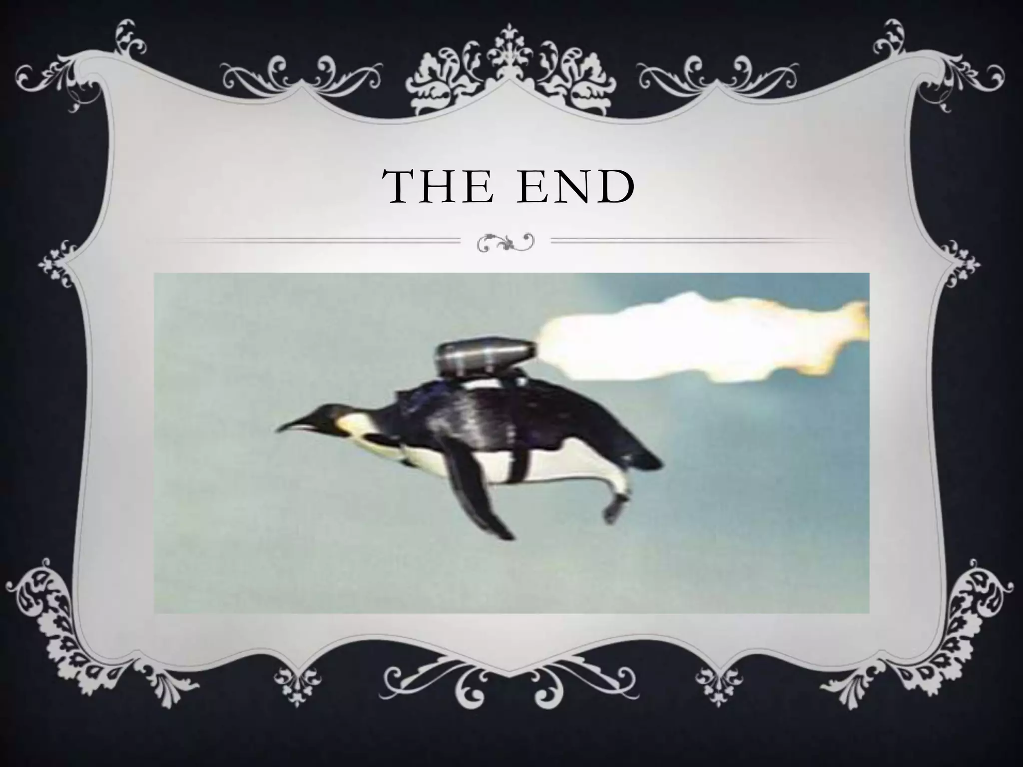 Penguin presentation | PPTX
