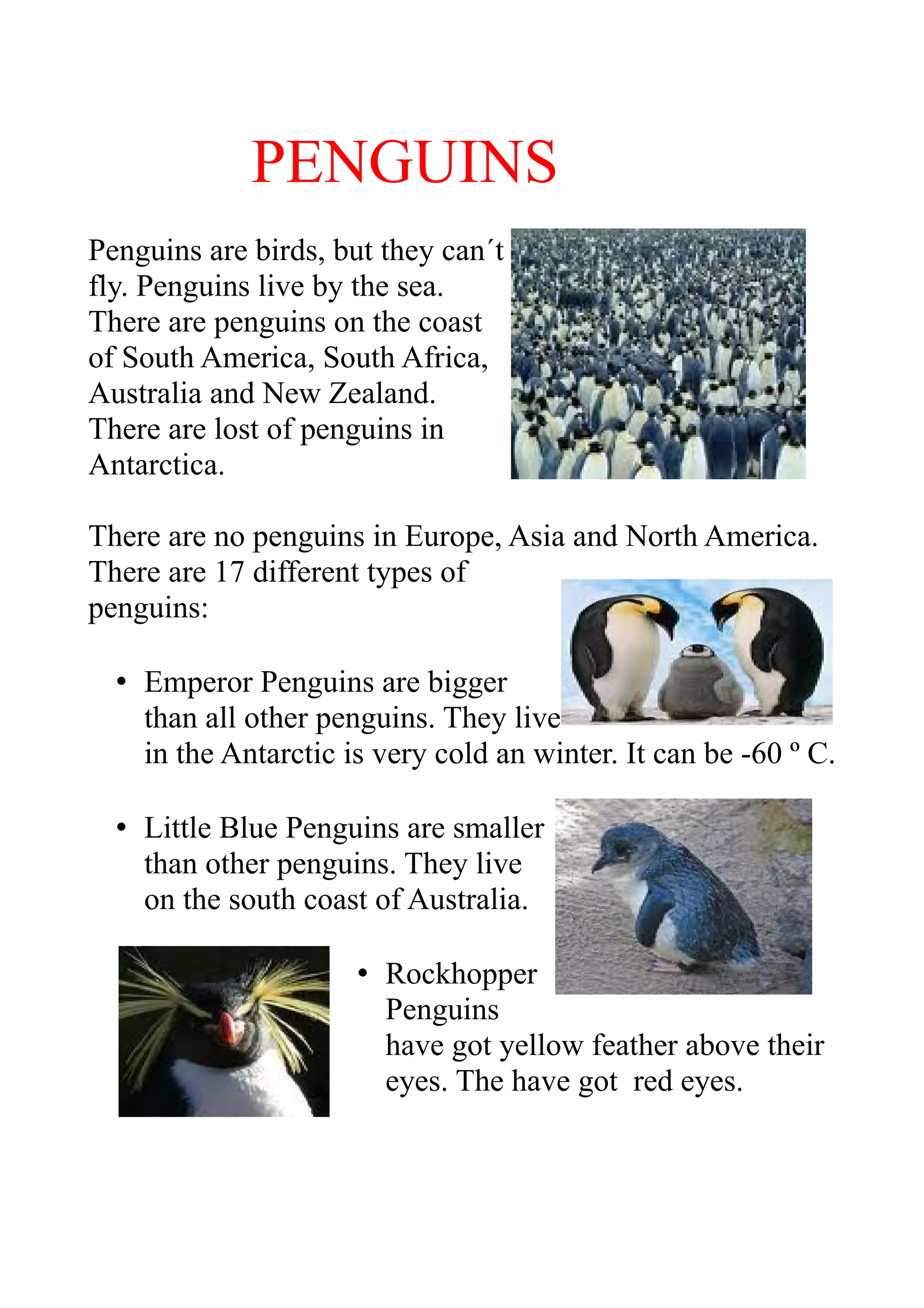 Penguins | PDF