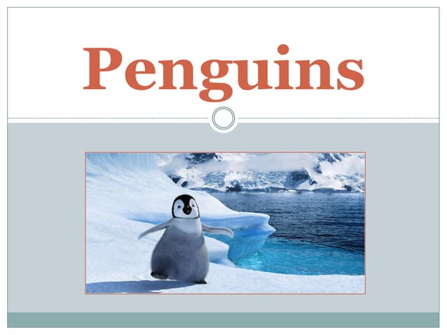 Penguins | PPT