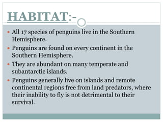 Penguins | PPTX