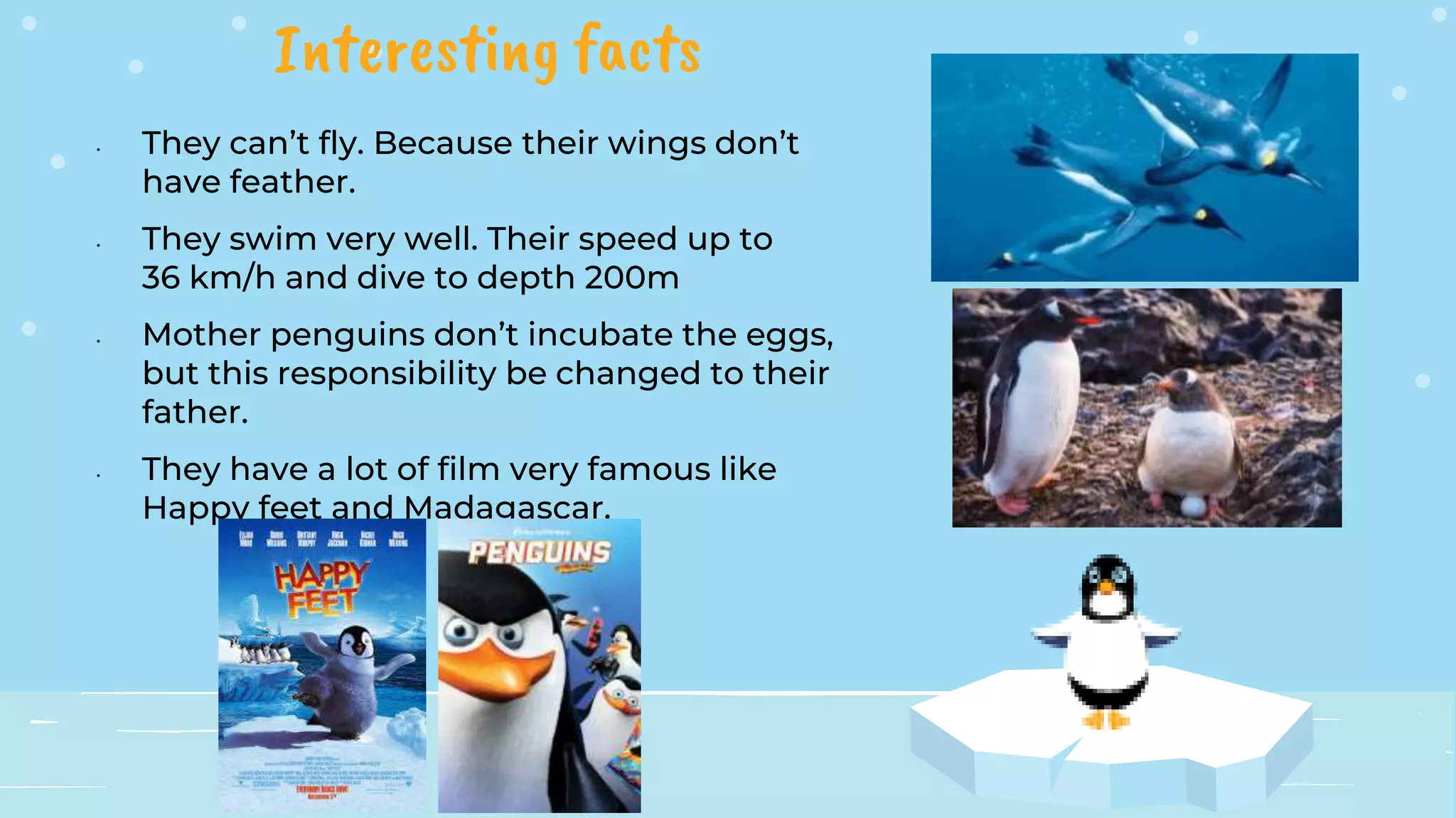 Penguins.pptx
