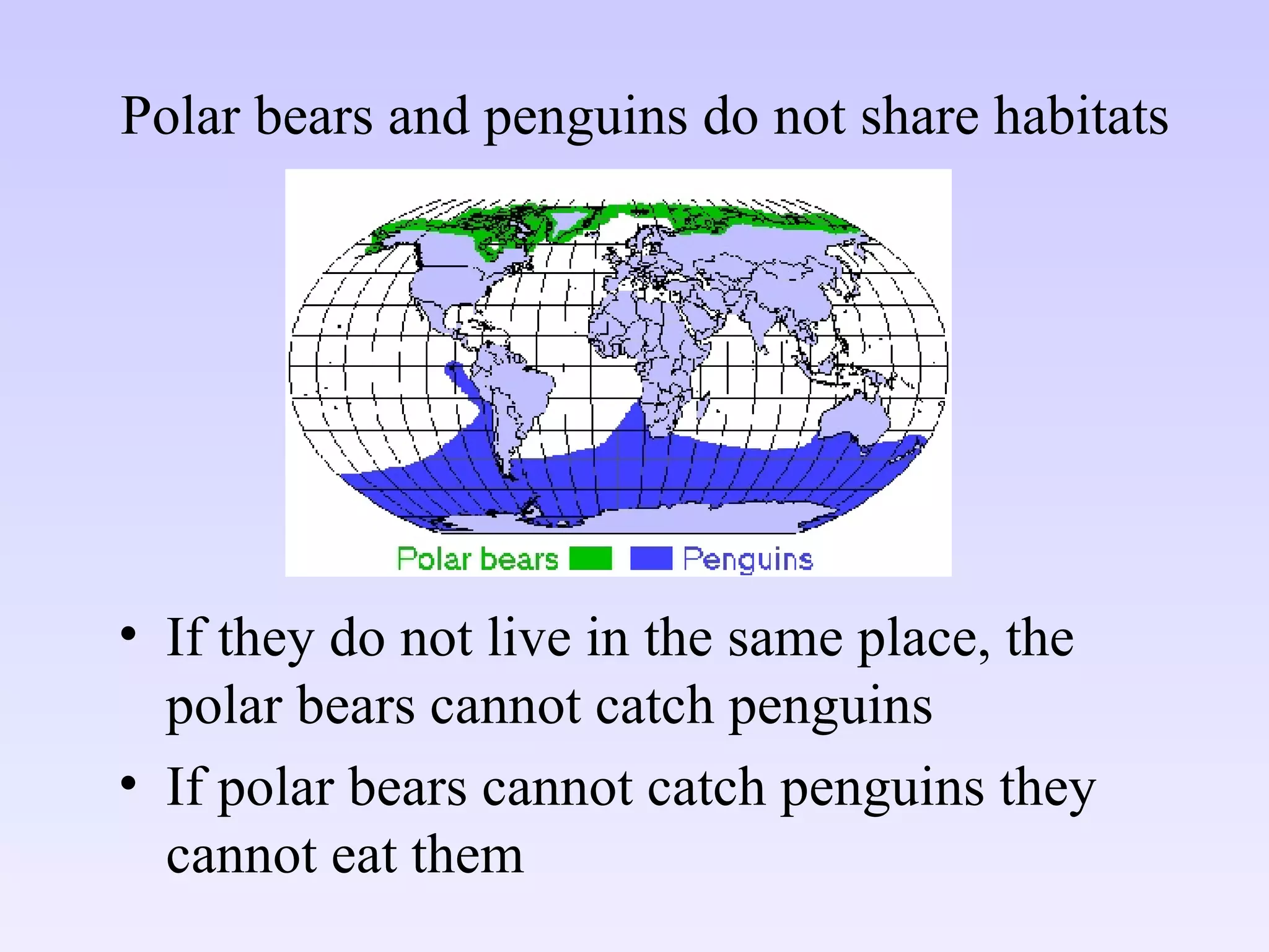 Penguins And Polar Bears | PPT