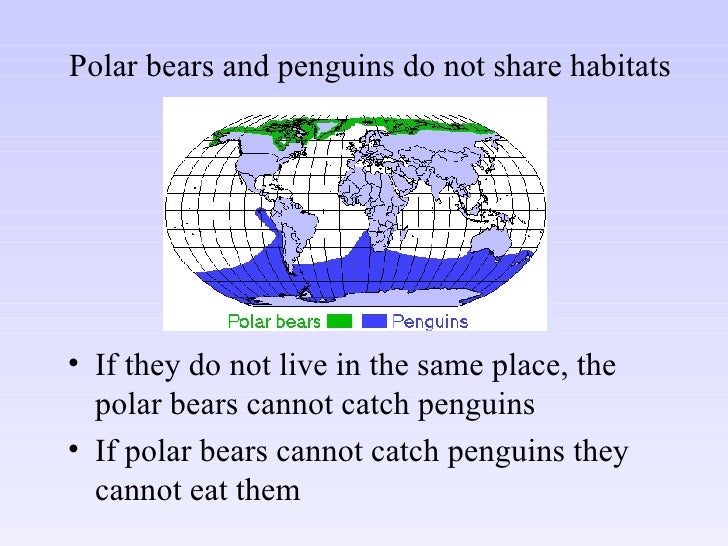 Penguins And Polar Bears