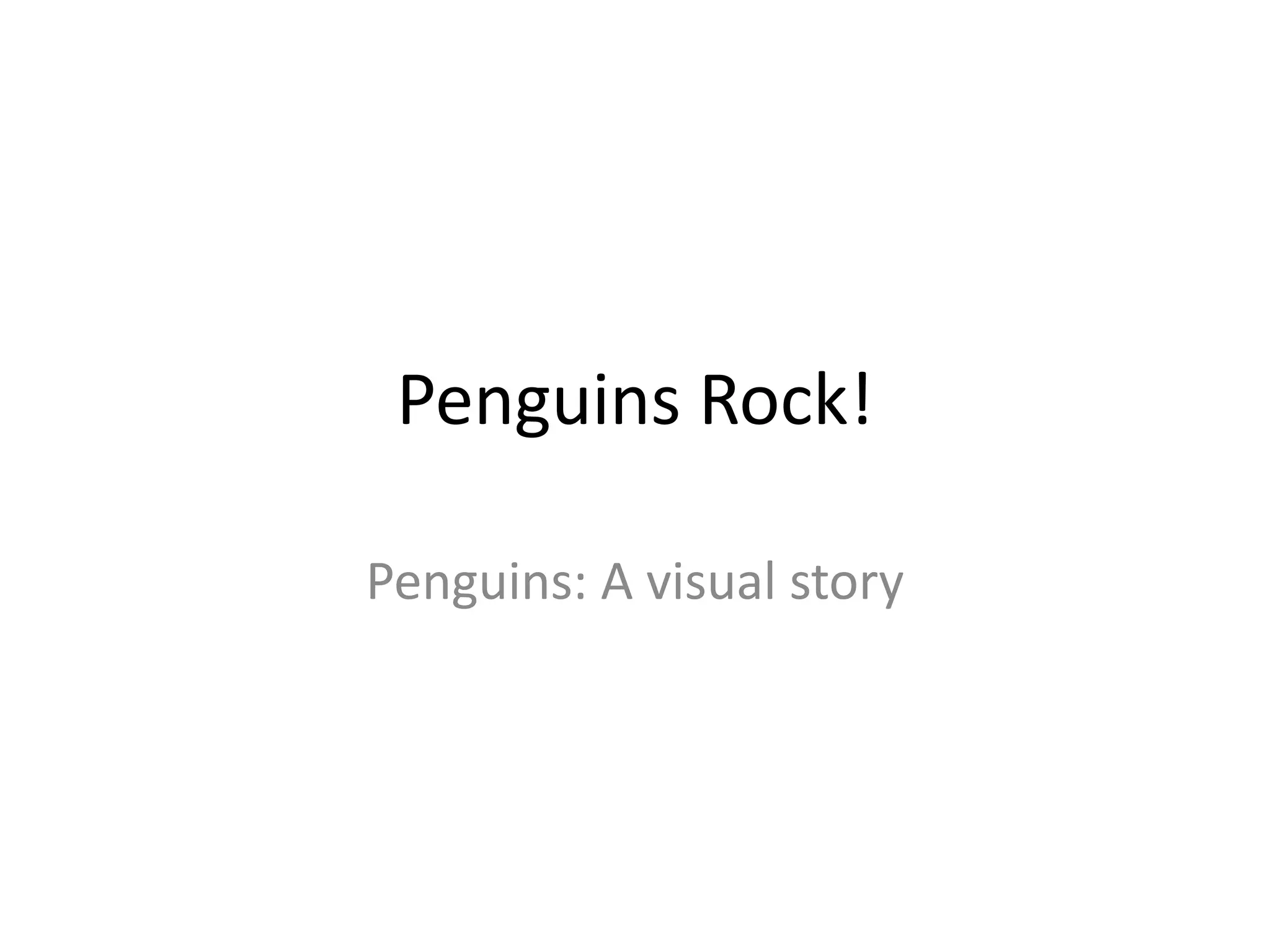 Penguins rock | PPTX