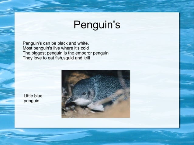 Penguins, By William | PPT