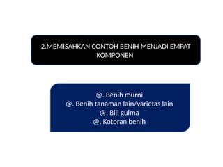 PENGUJIAN BENIH YAITU UNTUK MENENTUKAN KOMPOSISI FISIK DAN IDENTIFIKASI ...